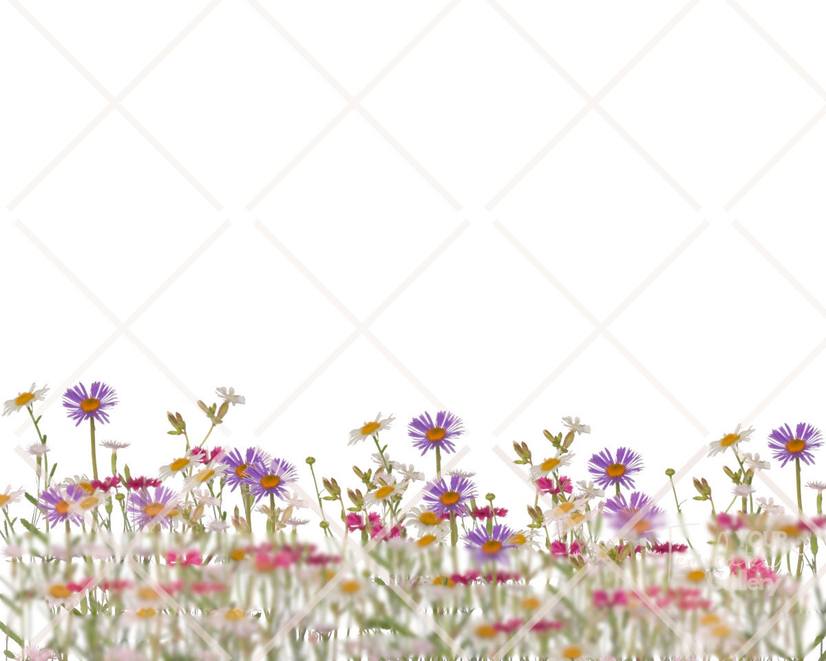 Wildflower Field Background, Digital Backdrop Photography, Portrait ...