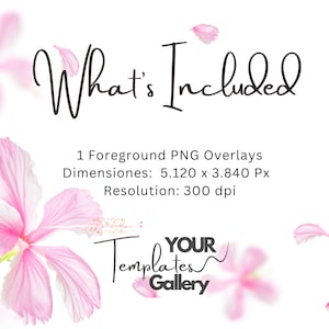 10 Flower Meadows Overlays, Foreground PNG Digital Overlays, Spring ...