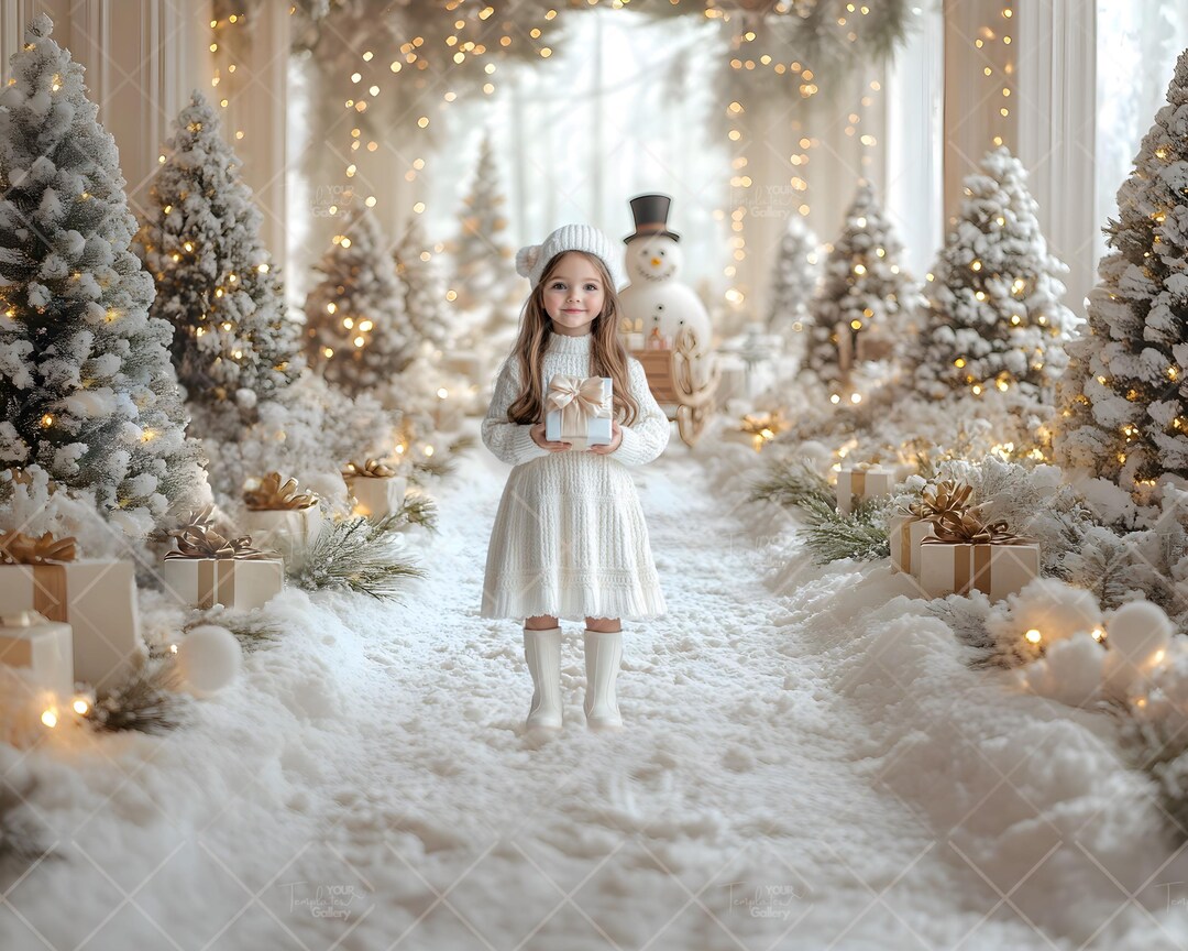 Christmas Digital Backdrop, Bokeh Digital Background, Winter Path ...