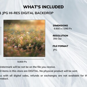 Maternity Digital Backdrop, Spring Background, Wildflowers Composite ...