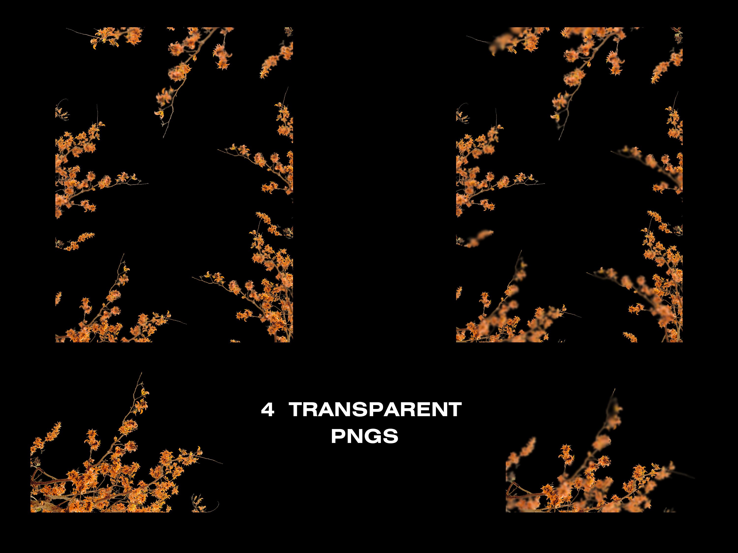 Floral Branch Overlays Backdrop, Yellow Flower PNG Overlays Photoshop ...