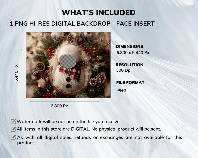 Newborn Face Insert Christmas Backdrop, Baby's First Xmas Snowman ...