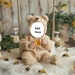Teddy Newborn Digital Backdrop, Add Face Poppet Prop, Photography Face ...