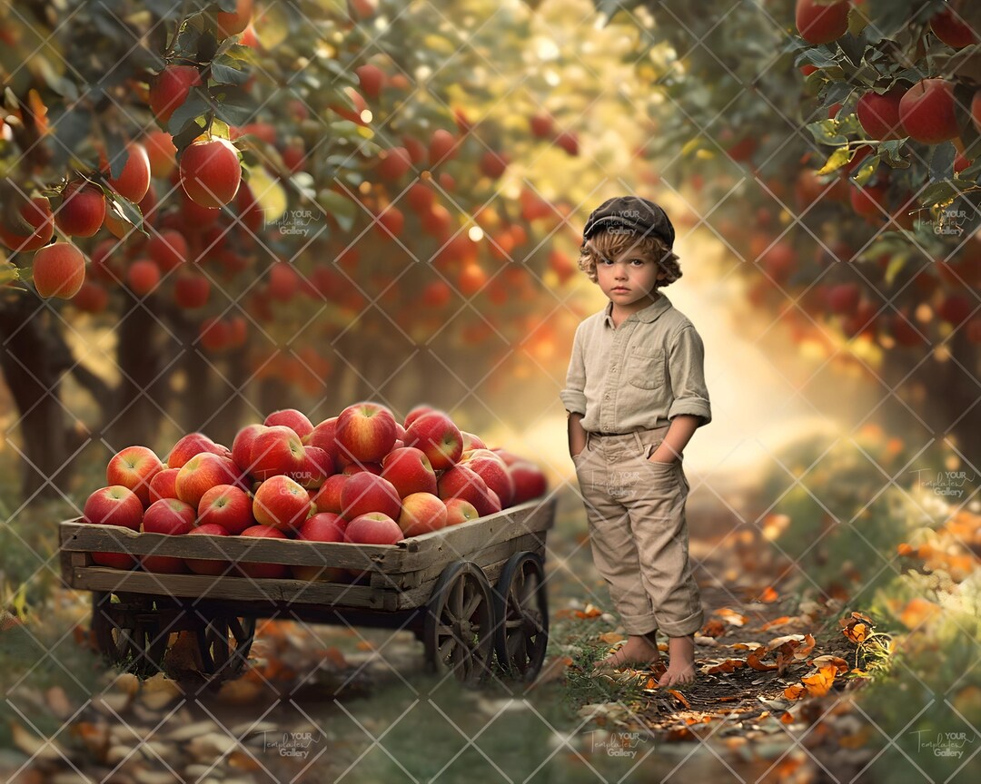 Fall Digital Backdrop Photography, Apple Orchard Digital Background ...