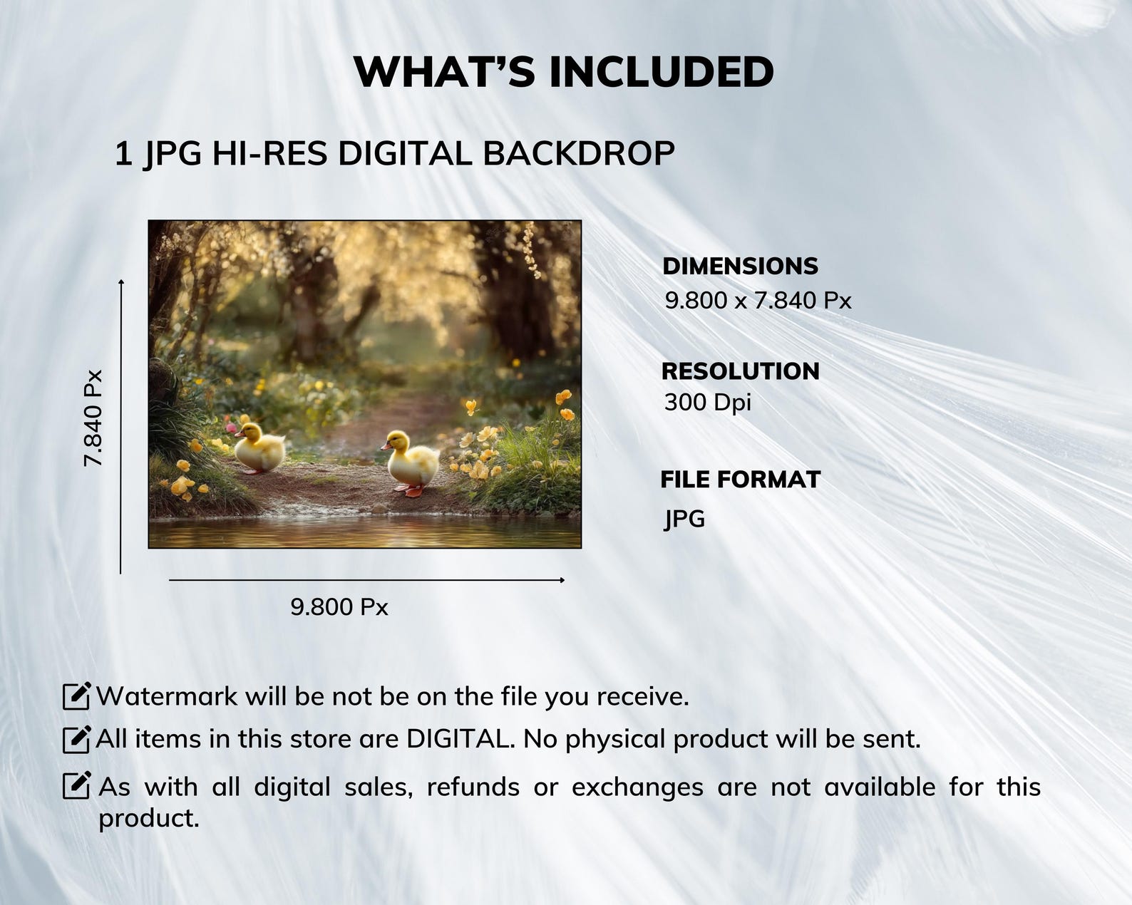 Spring Digital Backdrop Composite, Duck Pond With Flowers, Nature ...