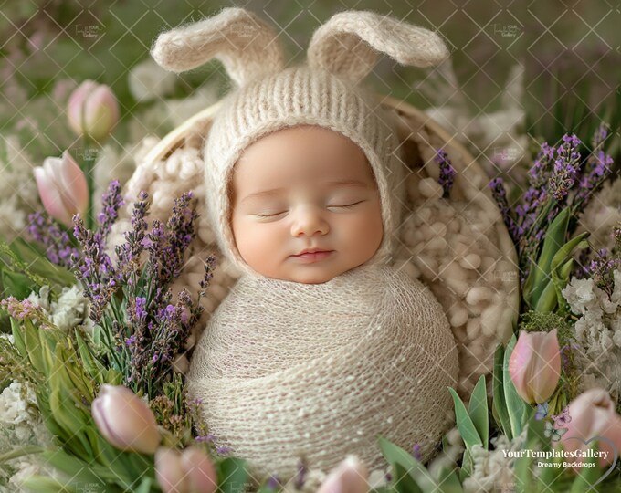 Newborn Digital Backdrop Face Photography, Newborn Face Inset Rabbit ...