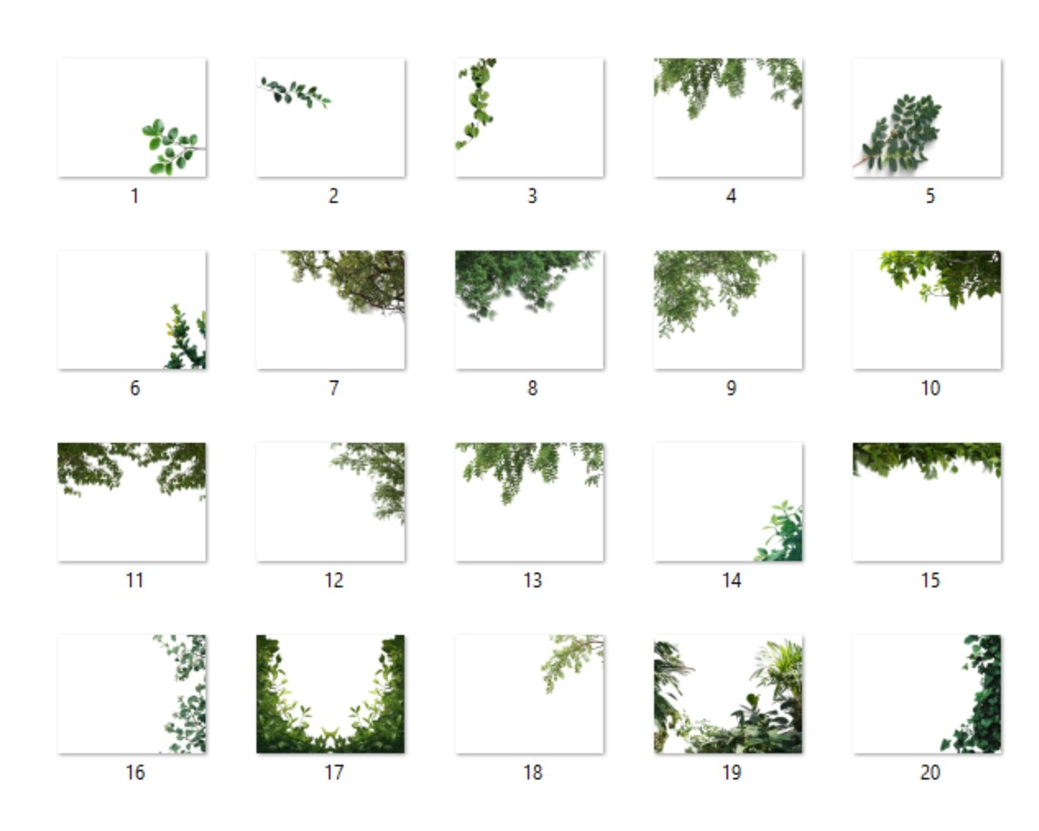 20 Green Branch Overlays, Tree Leafy Overlays, Foliage Overlay ...