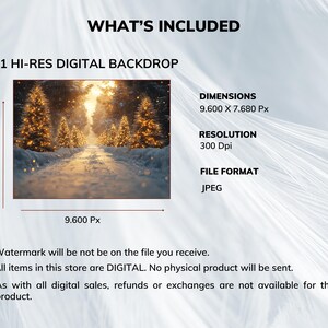 Enchanted Snowy Trail Backdrop, Pathway Christmas Tree, Snowy Winter ...