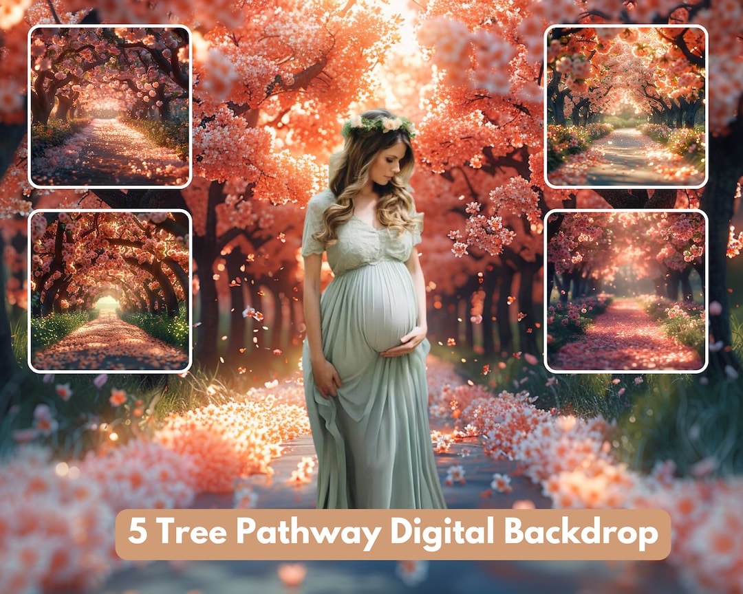 5 Spring Cherry Tree Pathway, Photography Digital Backdrop, Maternity ...