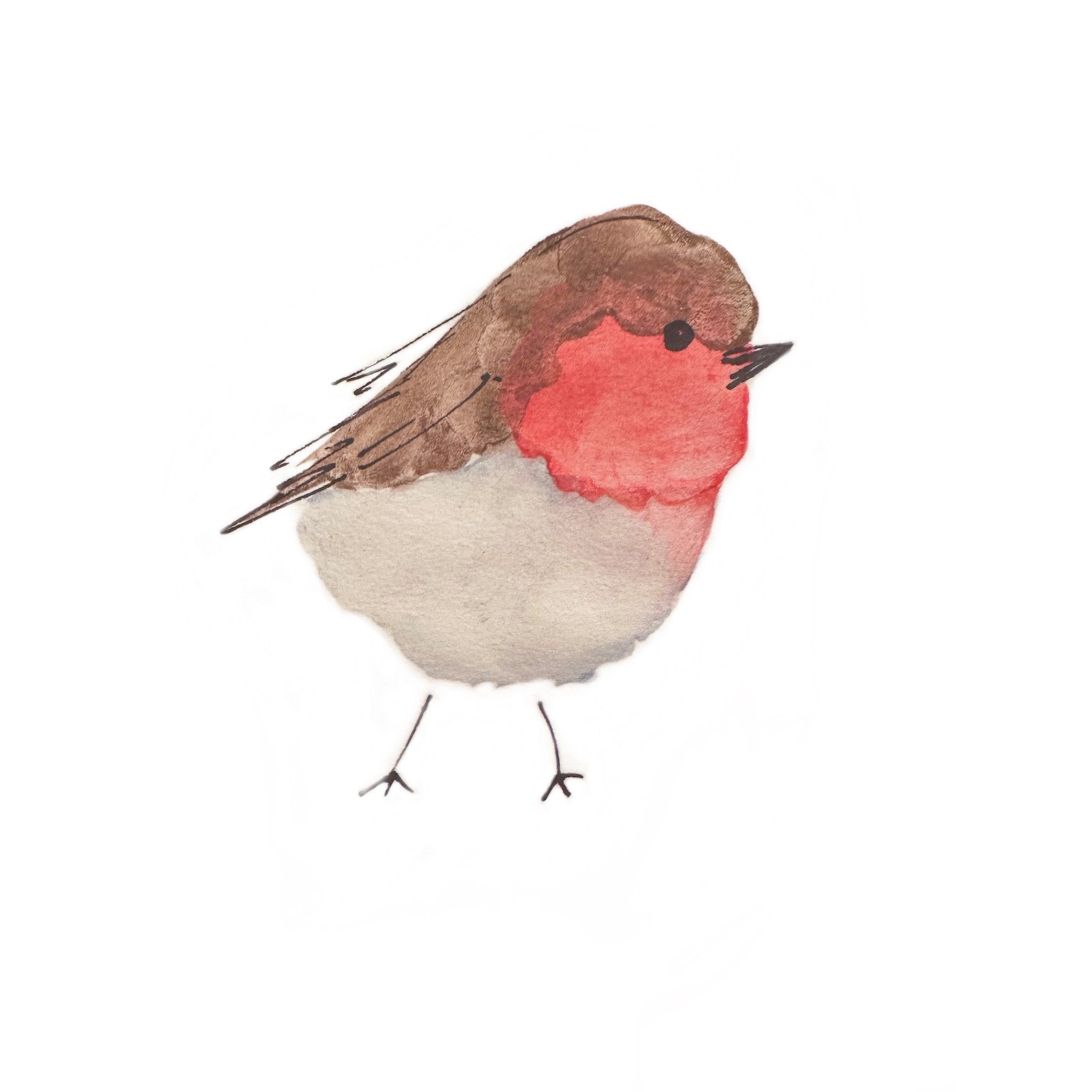 Robin Watercolour - Etsy