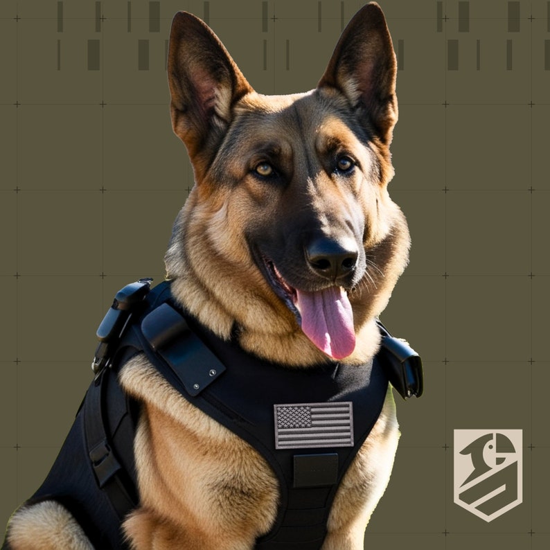 2-pack US American Flag Patches, 3x2 Inches, Embroidered Velcro Patch ...