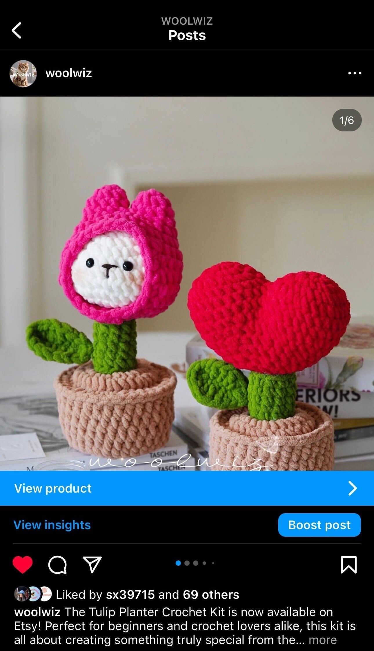 Learn to Crochet Kit How to Crochet Kit Beginner Crochet Kit Learn to ...