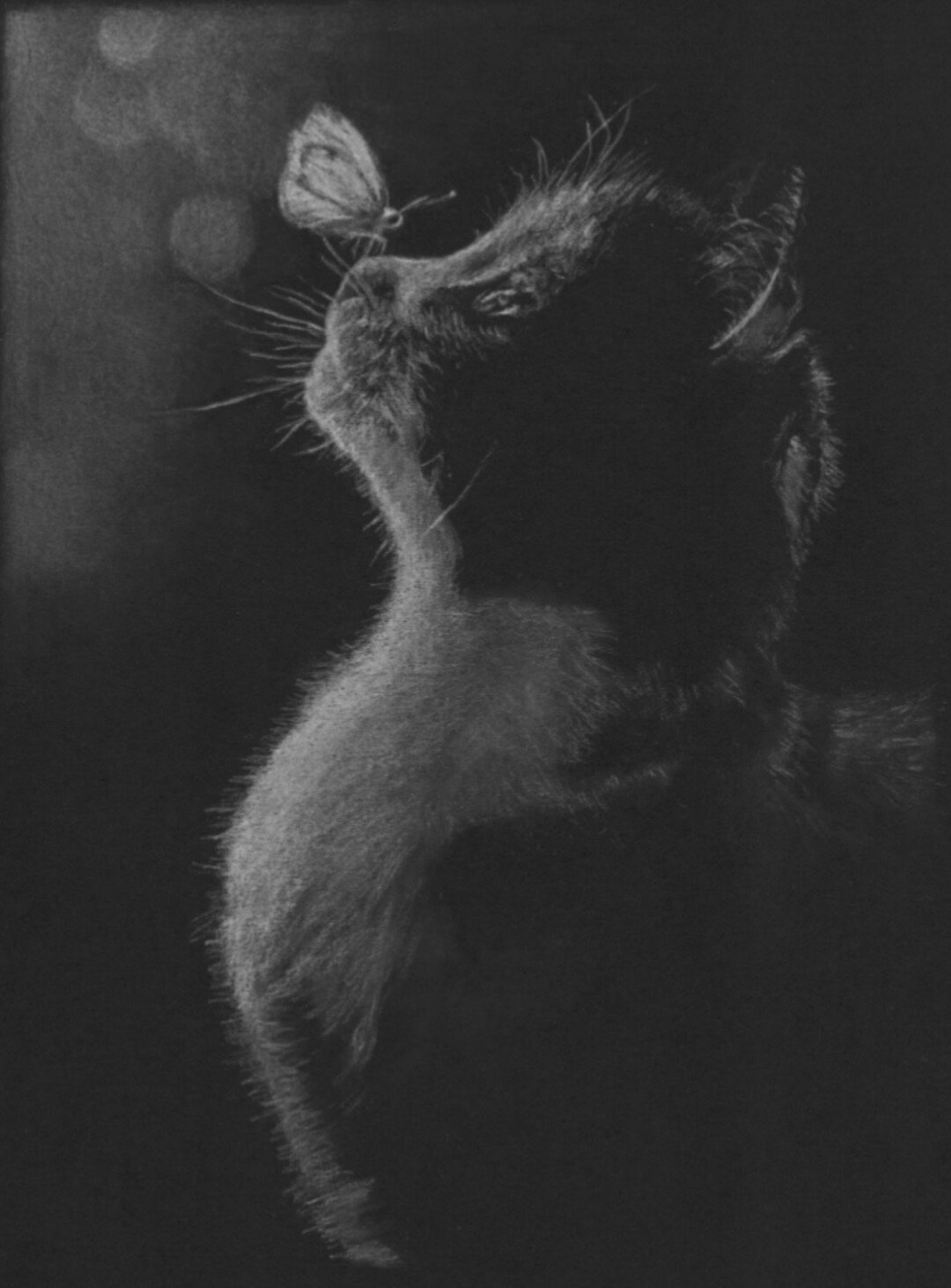 Cat & Butterfly Charcoal Drawing of Cat and Butterfly on - Etsy