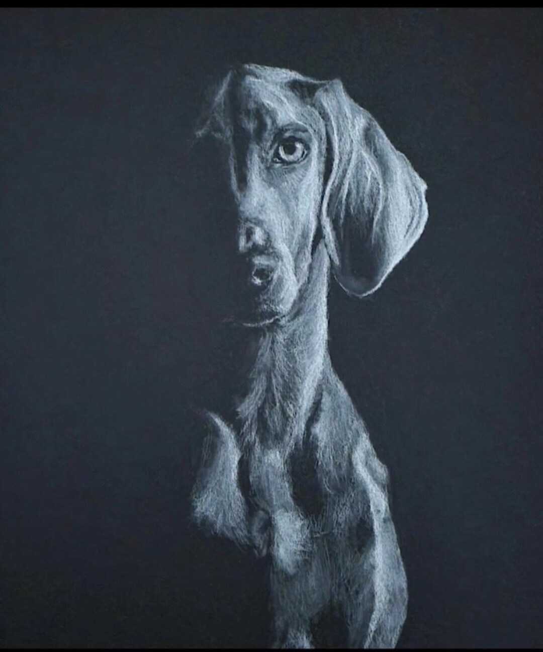 Dog Shaded/silhouette White Charcoal Drawing of Dog on Black Paper ...