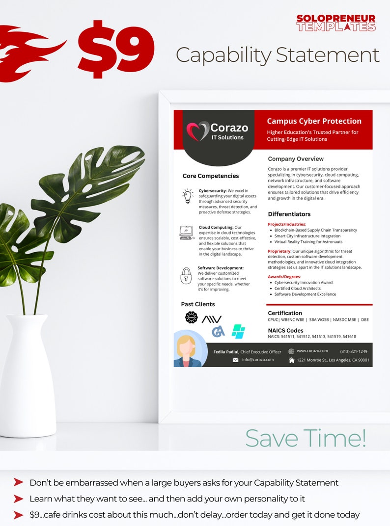 Solopreneurs: Customizable Capability Statement Template to Attract ...