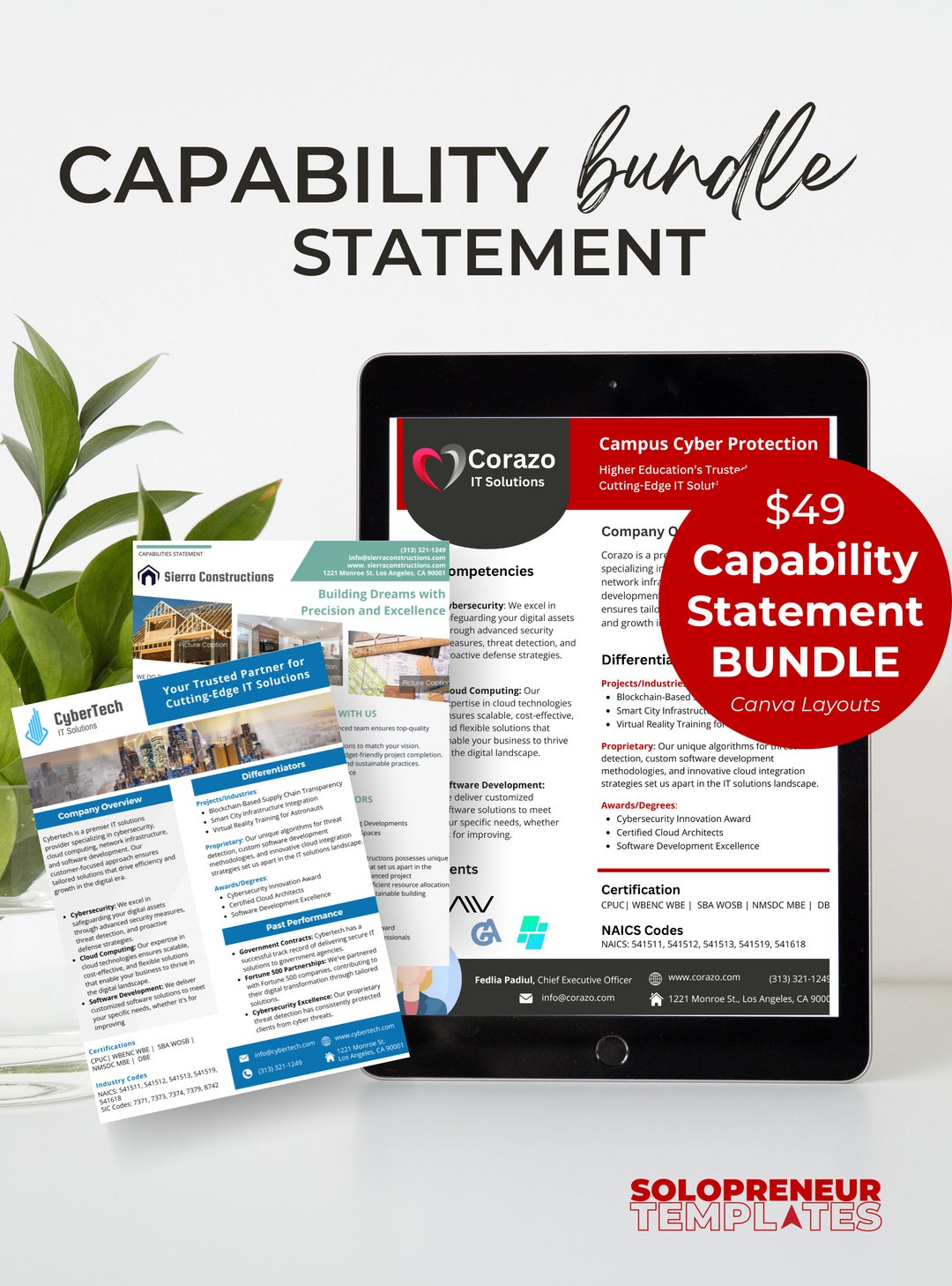 Ultimate Capability Statement Template Bundle for Solopreneurs Secure ...