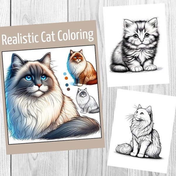 Realistic Cat - Etsy