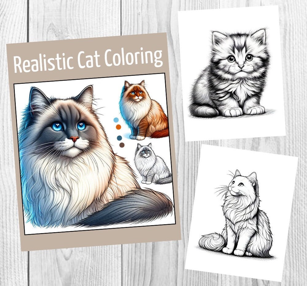 Realistic Cat Coloring - Etsy