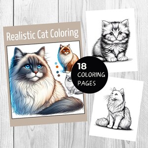 Realistic Cat Coloring Book - Etsy