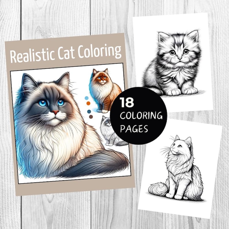 Realistic Cat Coloring Book - Etsy
