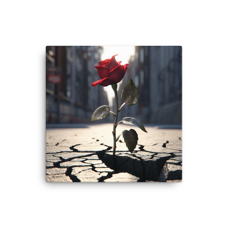 The Rose That Grew From Concrete II - Etsy