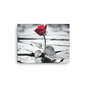 The Rose That Grew From Concrete Canvas - Etsy