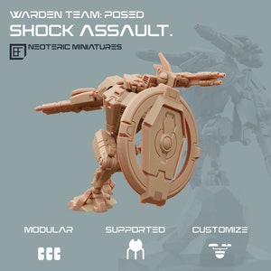 Shock Assault Warden Suits 12K UHD neoteric Miniatures - Etsy
