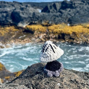 Cliff Limpet Pop Toy Crochet Pattern: No-sew Amigurumi (PDF Pattern) - Etsy