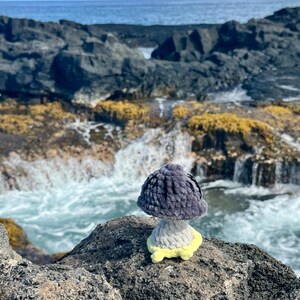 Cliff Limpet Pop Toy Crochet Pattern: No-sew Amigurumi (PDF Pattern) - Etsy