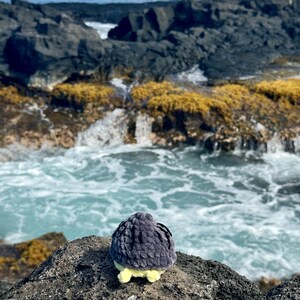Cliff Limpet Pop Toy Crochet Pattern: No-sew Amigurumi (PDF Pattern) - Etsy