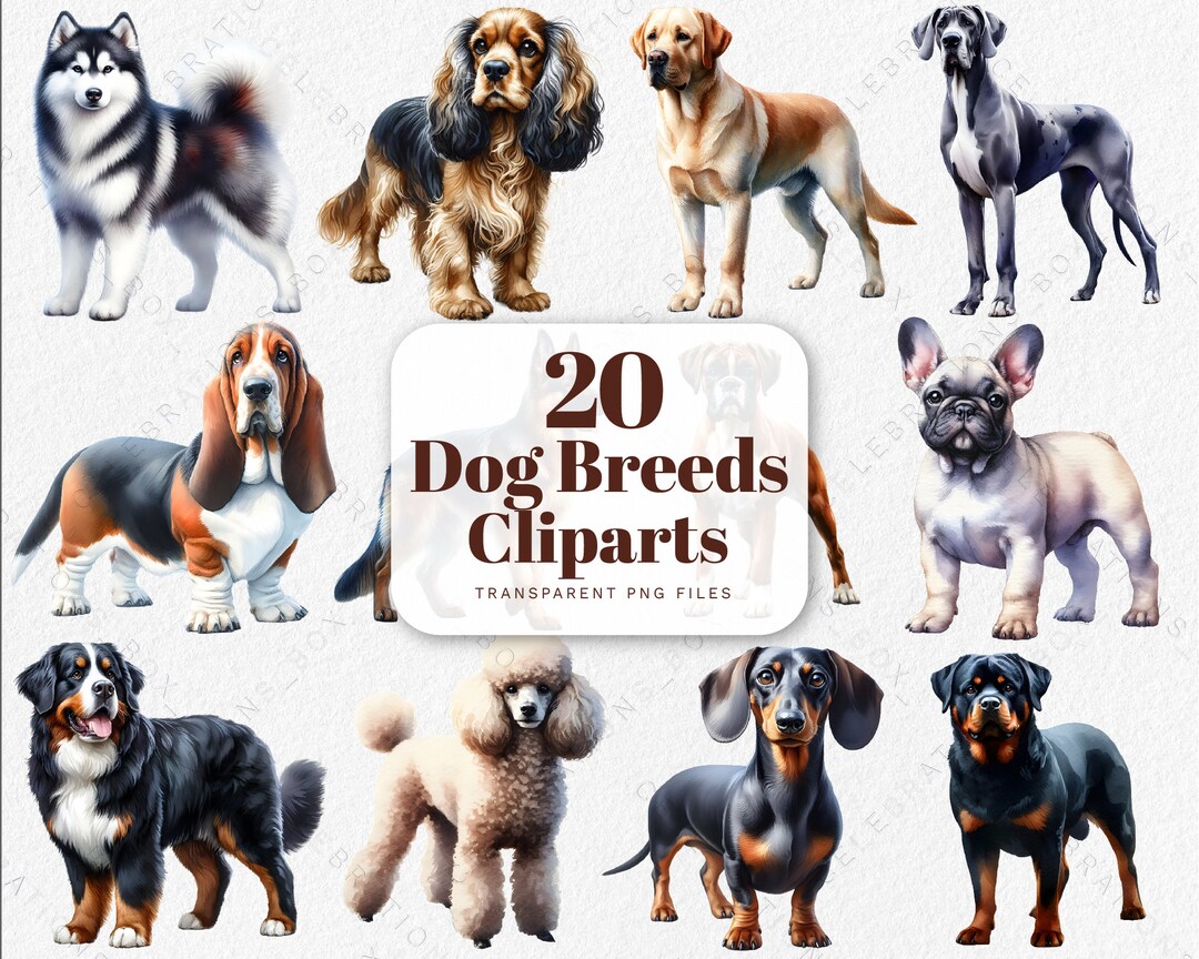 Watercolor Puppy Dogs Breeds Clipart Whimsical Colorful Puppies ...