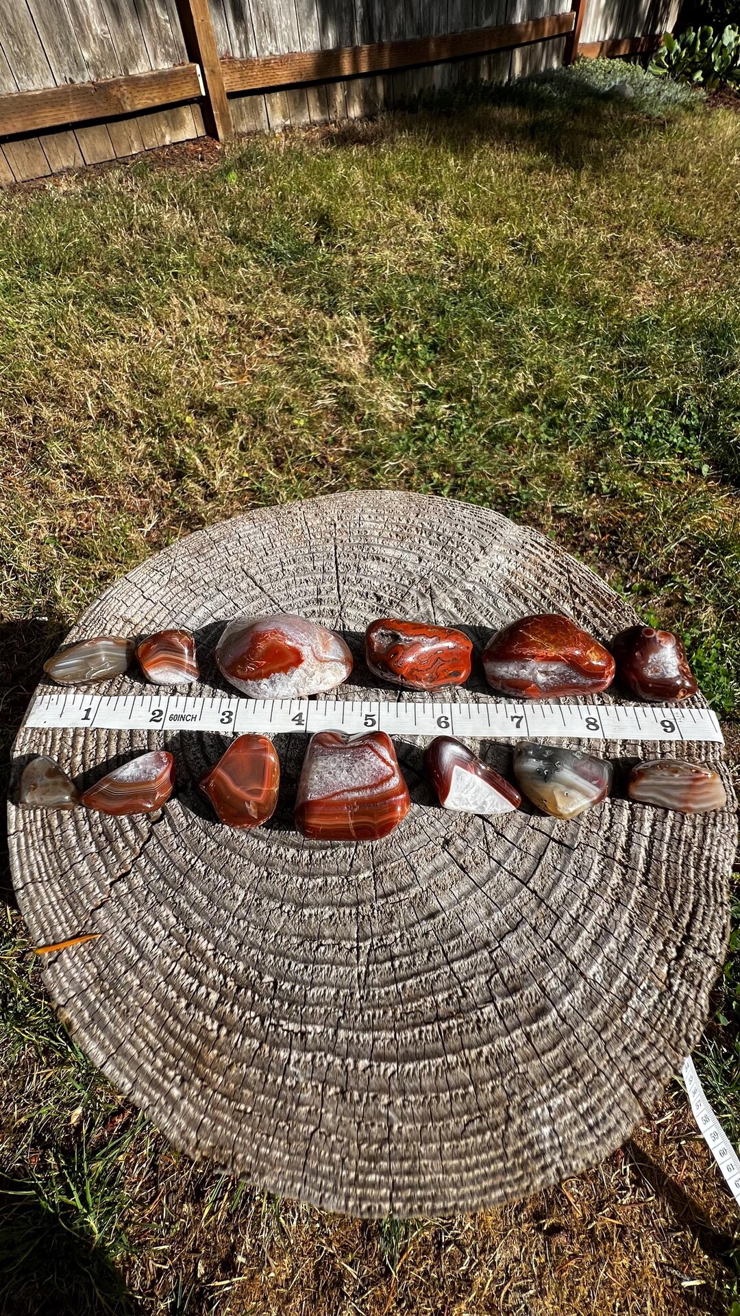 10oz of Lake Superior Agates Polished, Lapidary, Gift, Home Decor ...