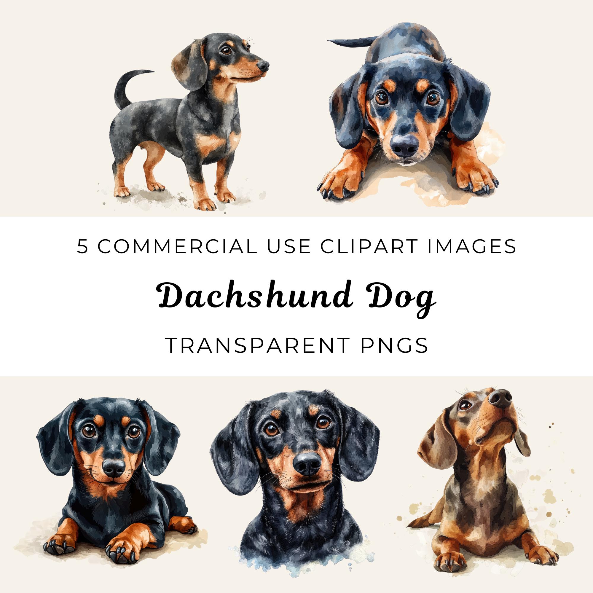 Dachshund Dog Clipart, Wiener Dog Png, Dachshund Clipart, Dachshund ...
