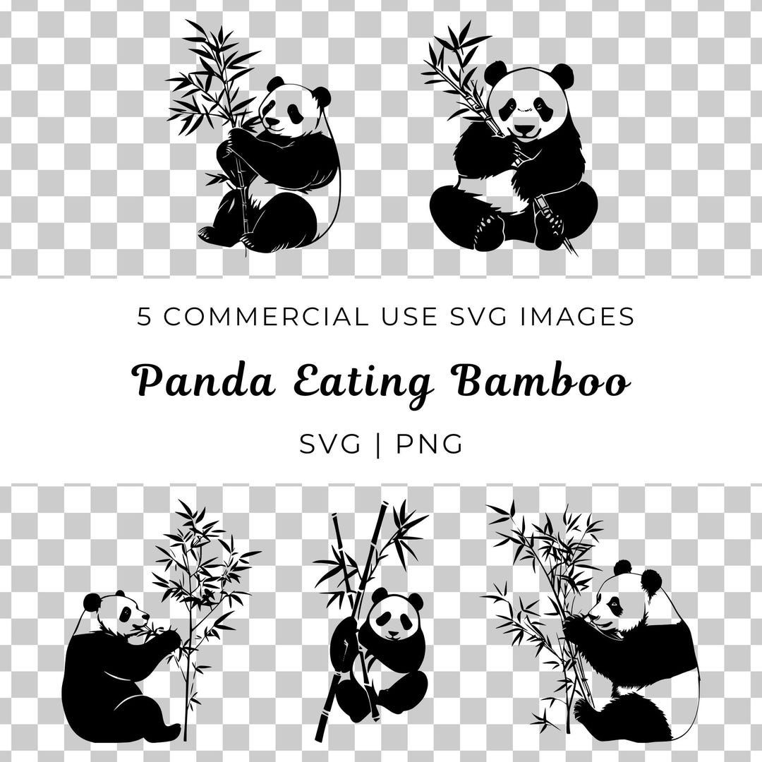 Panda Eating Bamboo Svg, Bamboo Forest Vector, Cute Panda Svg, Panda ...