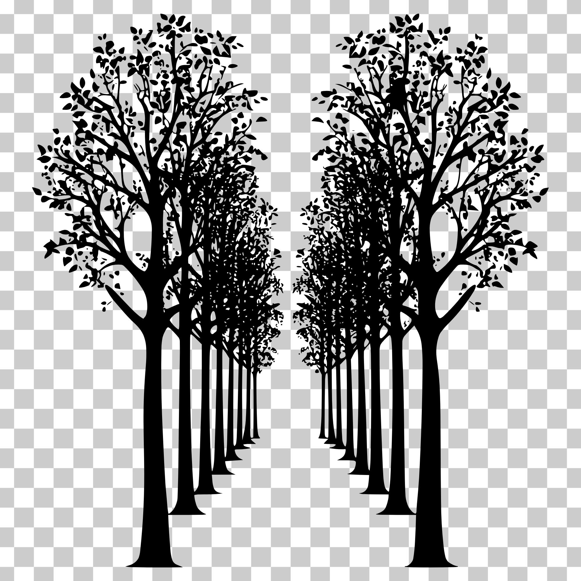 Tree Lined Pathway Svg, Forest Lane Vector, Avenue of Trees Svg ...