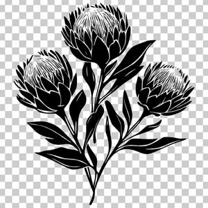 Protea Flower SVG, Botanical Vector, Tropical Floral Design (digital ...