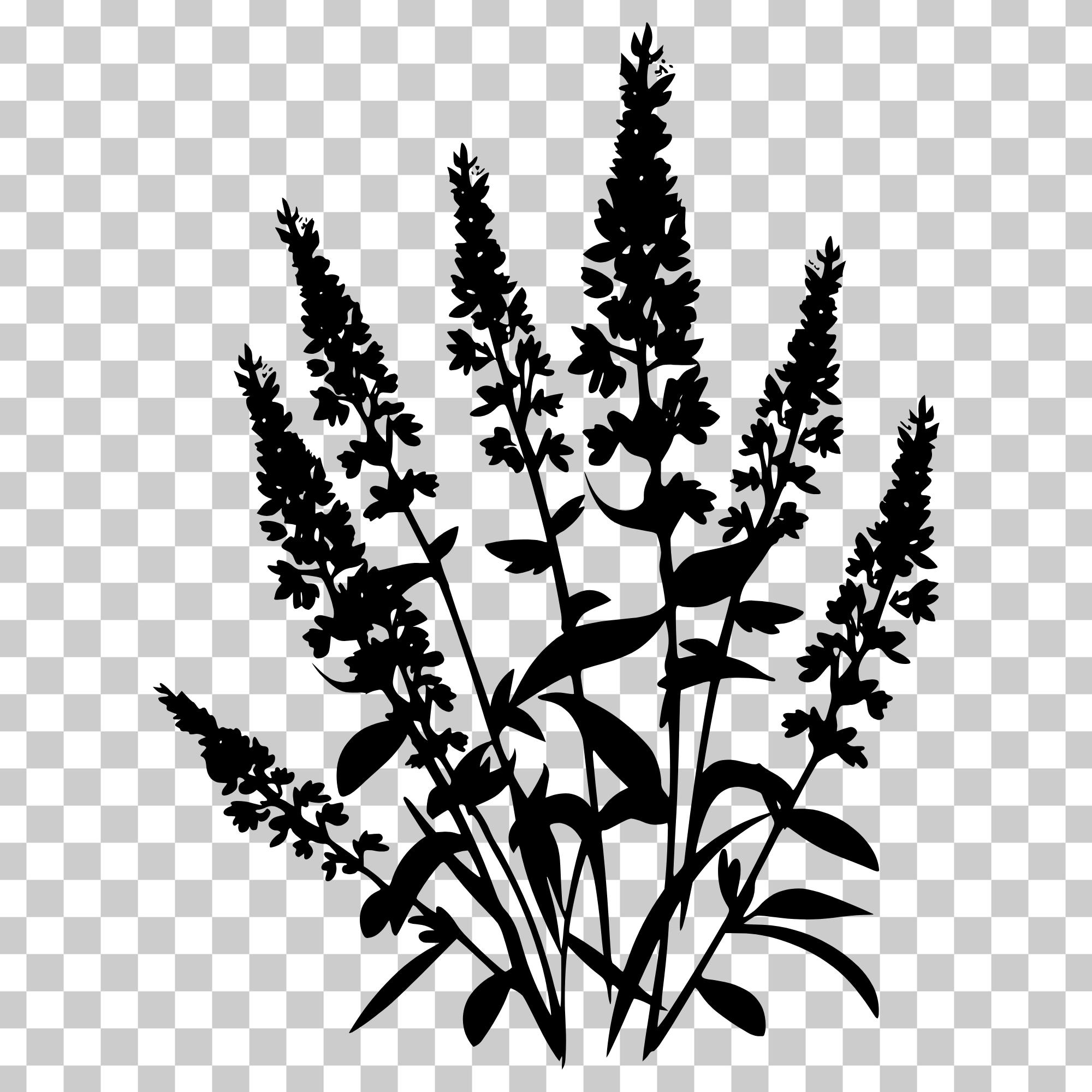Veronica Flower SVG, Garden Blossom Vector (digital Download) - Etsy