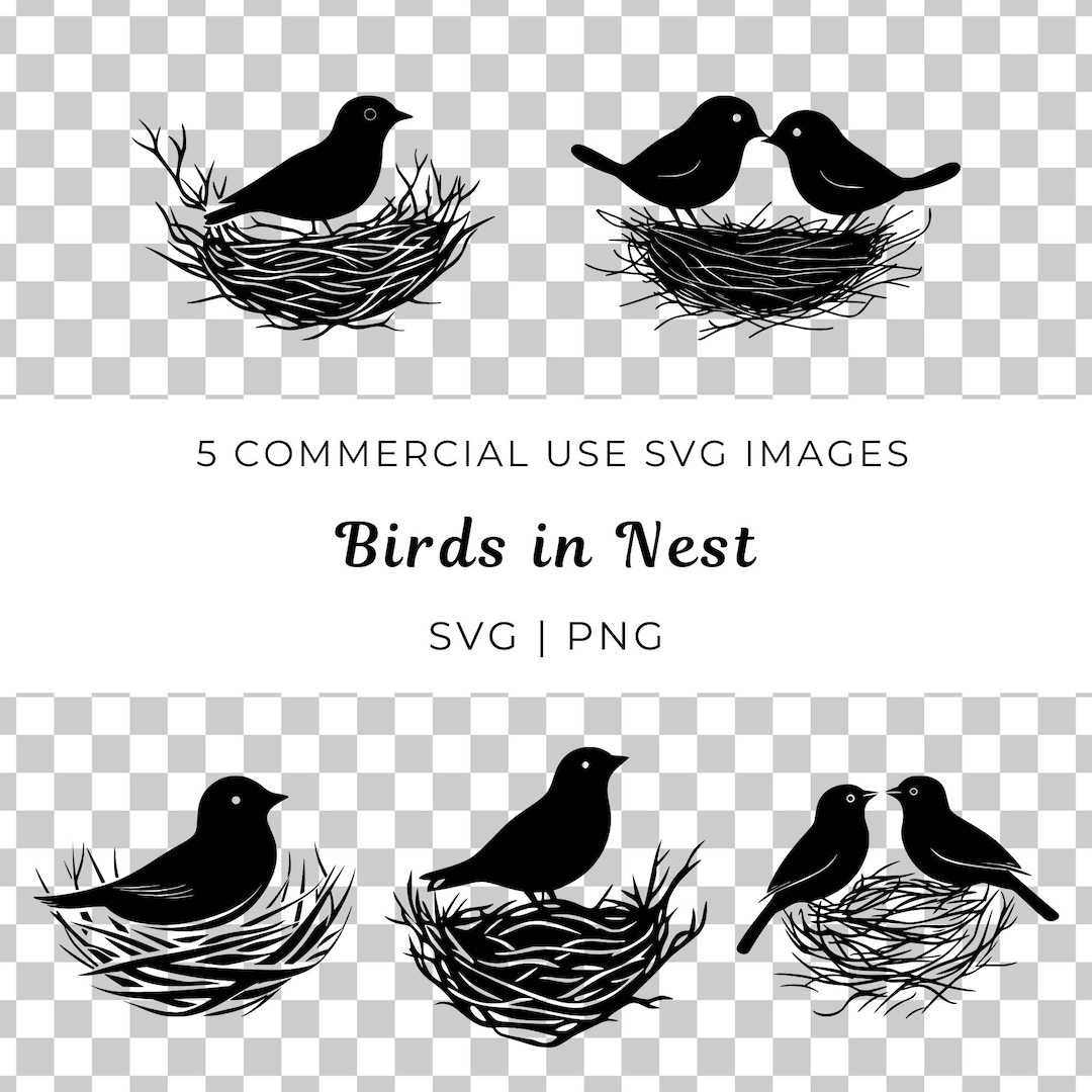 Bird in Nest Svg, Nesting Birds Vector, Mother Bird Svg Pack, Cute Baby ...