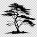 Cypress Tree Svg Vector Mediterranean Tree Png Instant Download ...