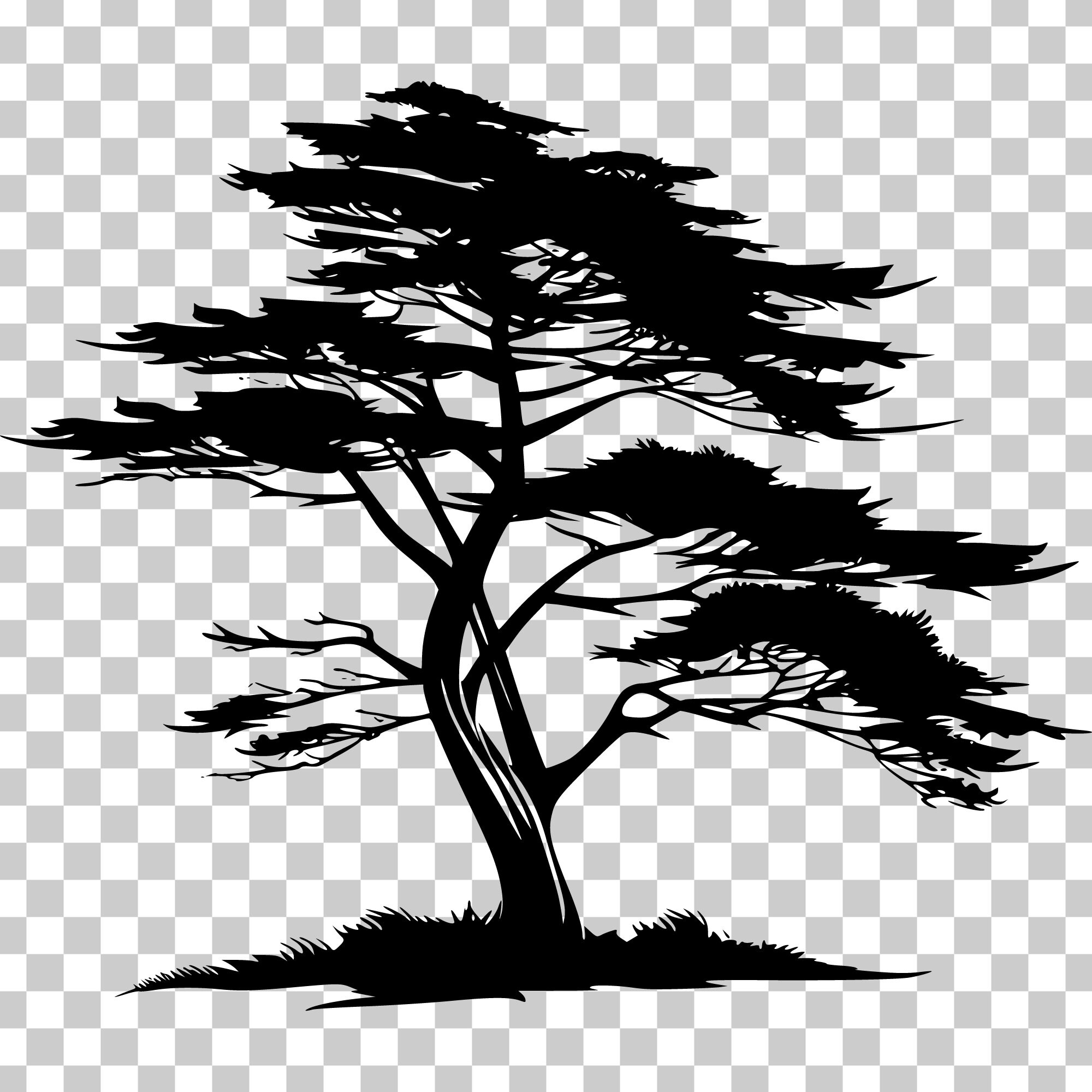 Cypress Tree Svg Vector Mediterranean Tree Png Instant Download ...