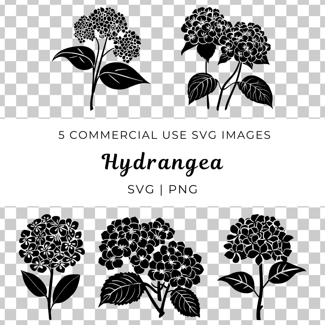 Hydrangea Svg, Blooming Flower Vector, Floral Bouquet Svg, Garden Plant ...