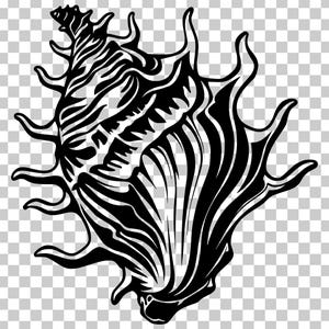 Seashells Svg, Ocean Shells Vector, Beach Shell Svg, Marine Life Vector ...