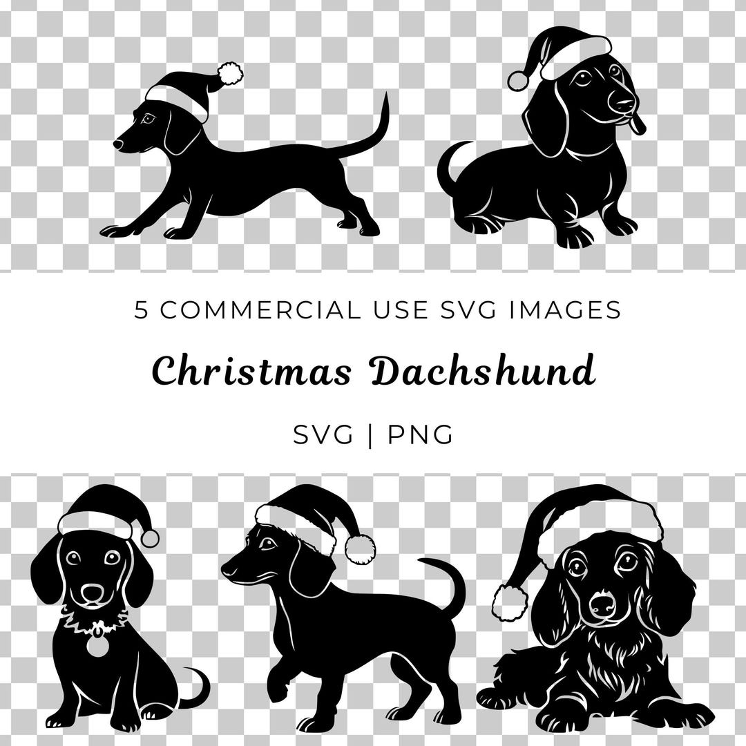 Christmas Dachshund Svg, Dachshund Santa Hat Svg, Holiday Dachshund Svg ...
