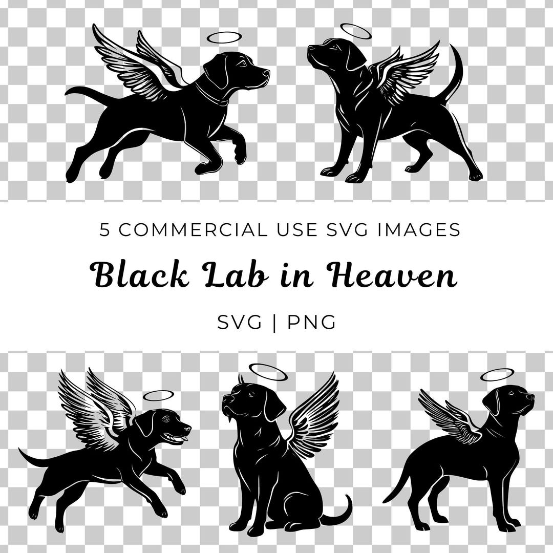 Black Lab With Angel Wings Vector, Heavenly Dog Svg, Black Labrador ...
