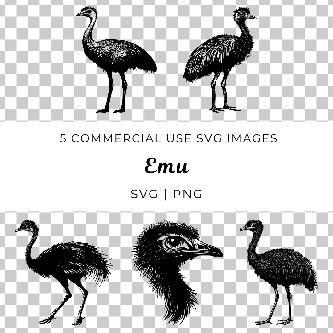 Emu Svg, Australian Bird Svg, Bird Lover Svg, Flightless Bird Svg, Emu ...