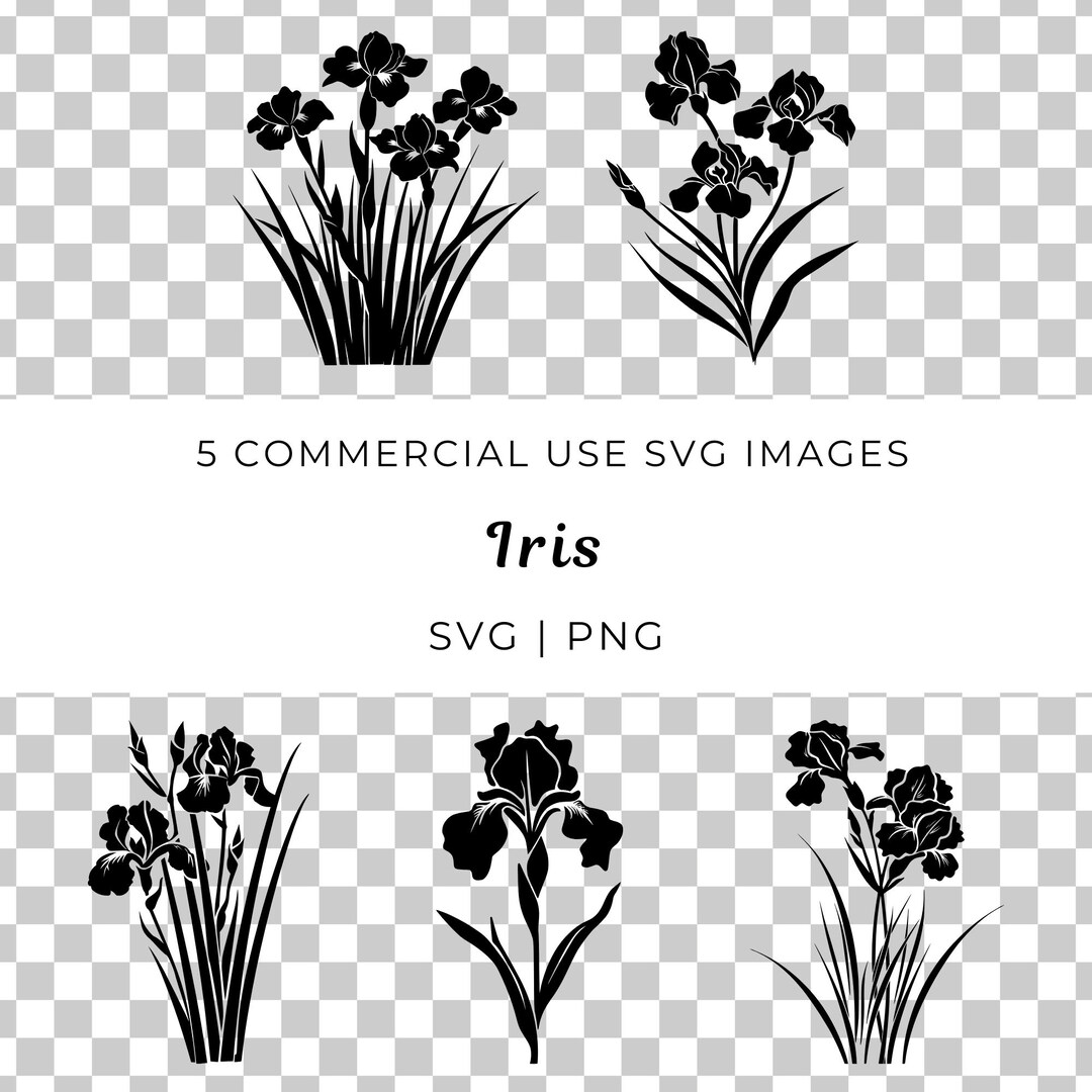 Iris Flower Vector, Floral Iris Vector, Botanical Iris Svg, Elegant ...