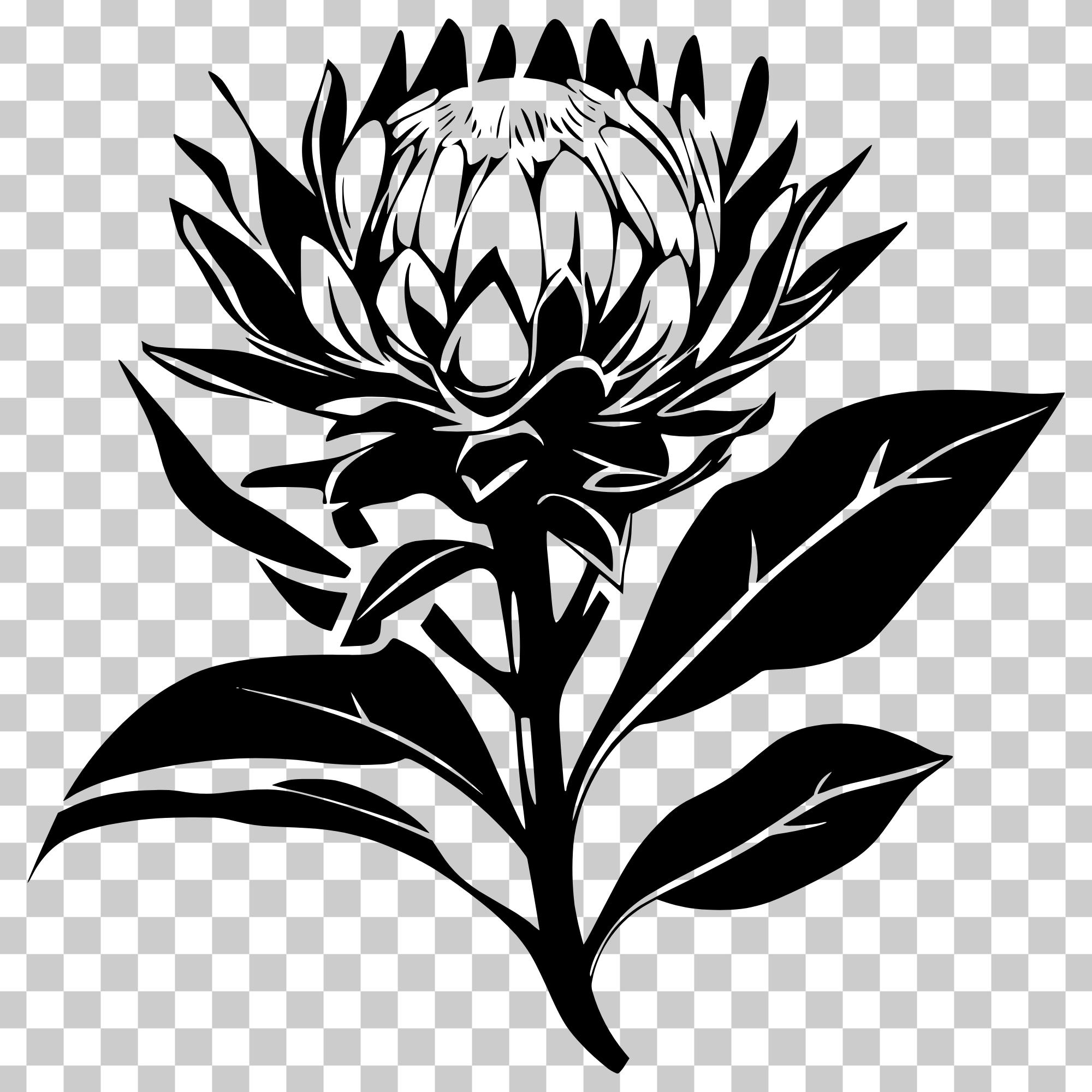 Protea Flower SVG, Botanical Vector, Tropical Floral Design (digital ...