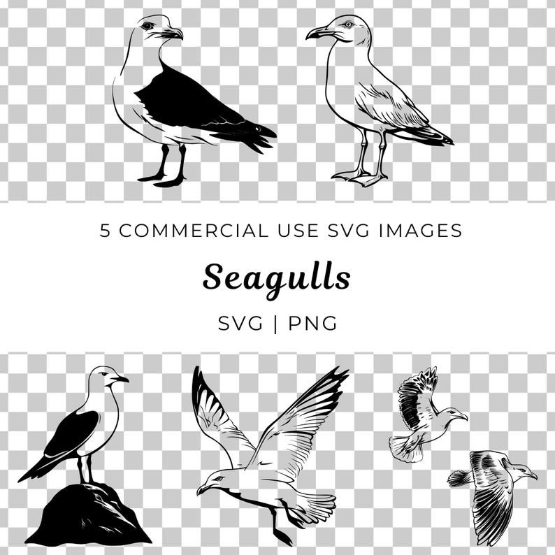 Seagull Svg, Coastal Bird Vector, Beach Bird Svg, Flying Seagull Vector ...