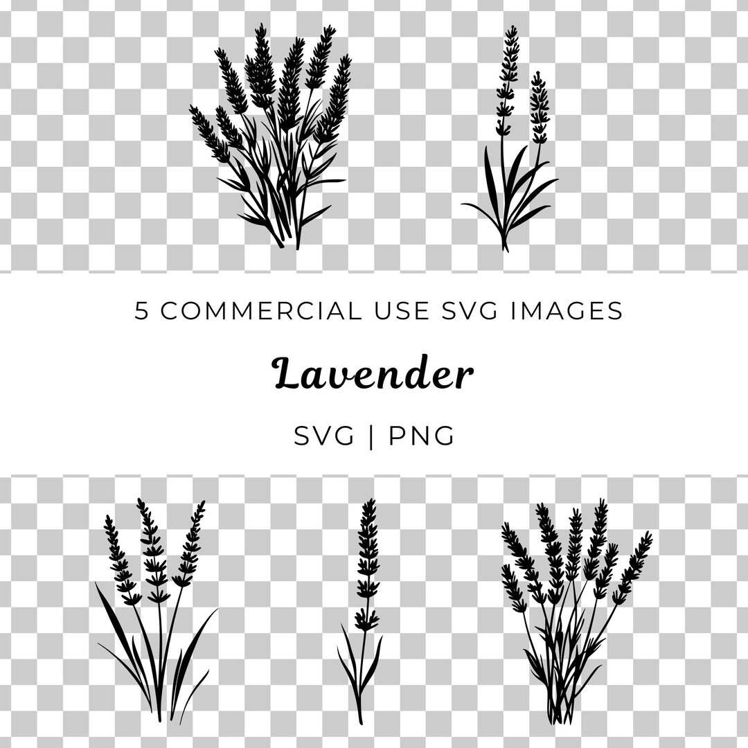 Lavender Flower Svg, Floral Lavender Svg, Lavender Bouquet Svg ...