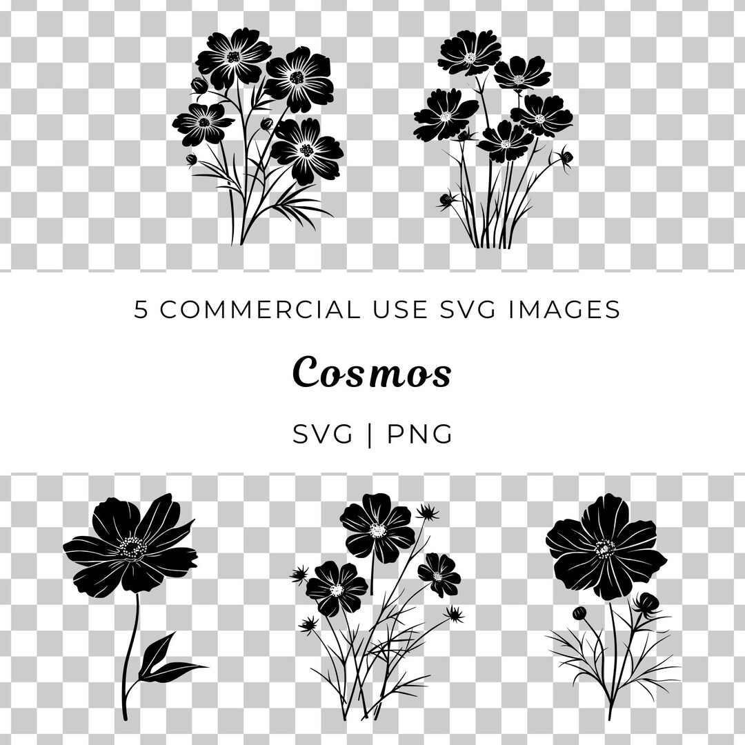 Cosmos Flower Svg, Garden Blossom Vector, Nature Bloom Svg, Wedding ...